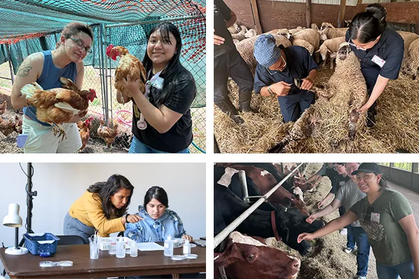 Environmental Science: Animal Science, AS – LaGuardia Community College